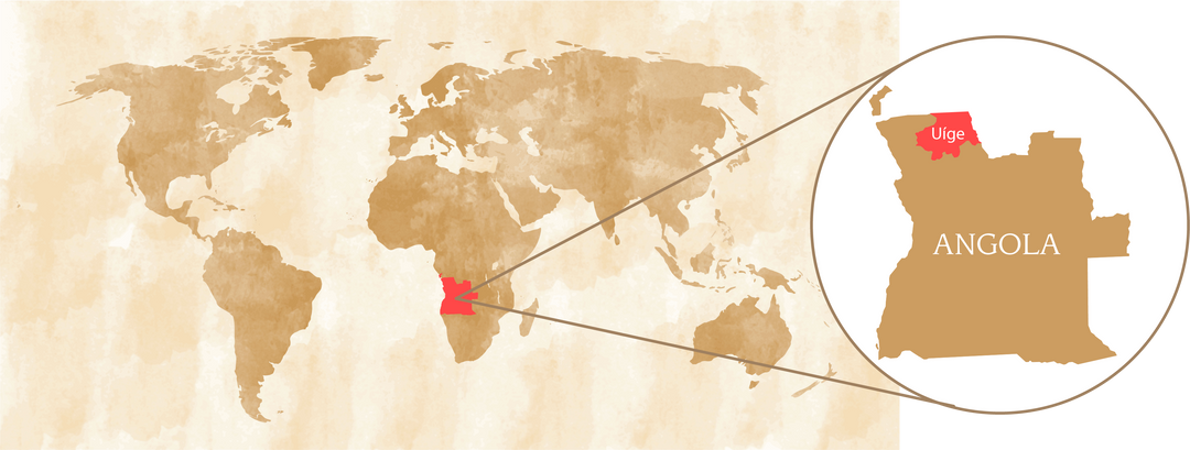 Our Origin - Angola Coffee – Café e Cacau de Angola